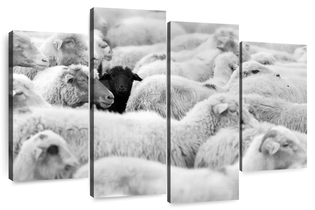 Distinct Black Sheep Wall Art – Man Cave And Apparel