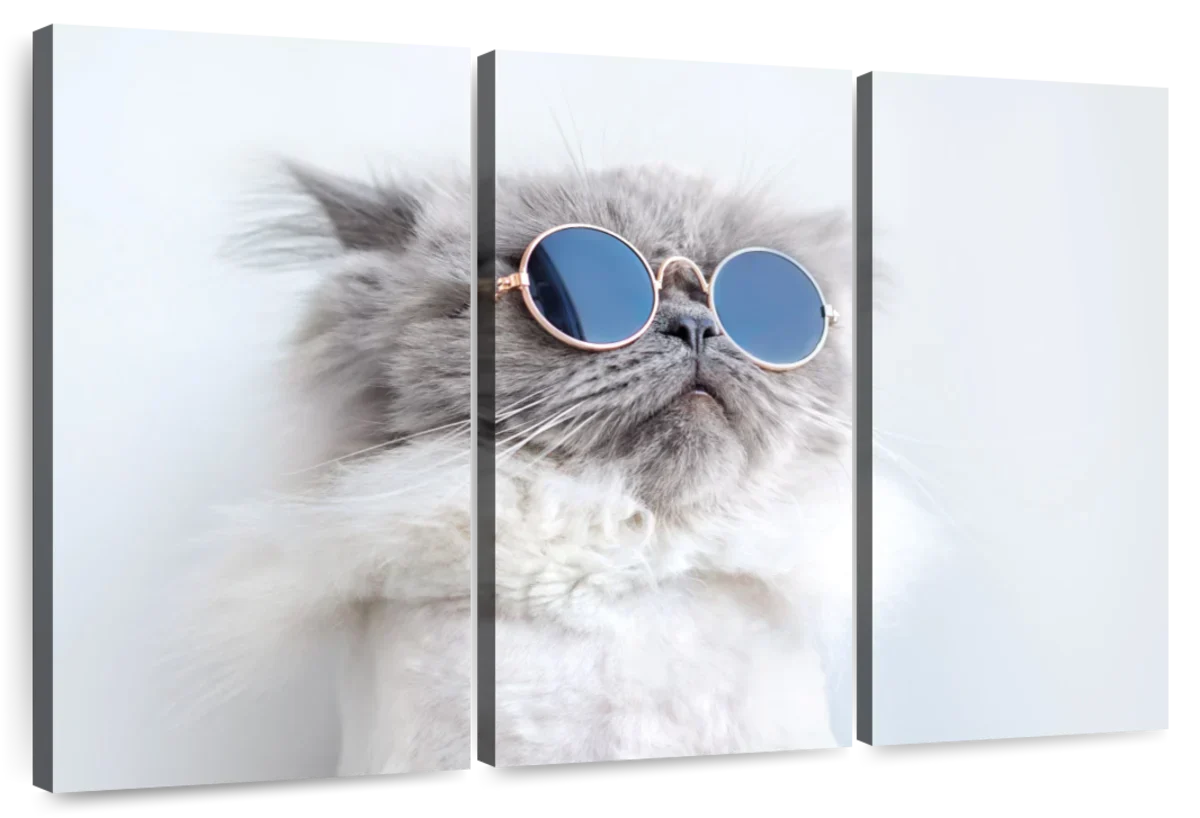 Cool Cat Wall Art – Man Cave And Apparel