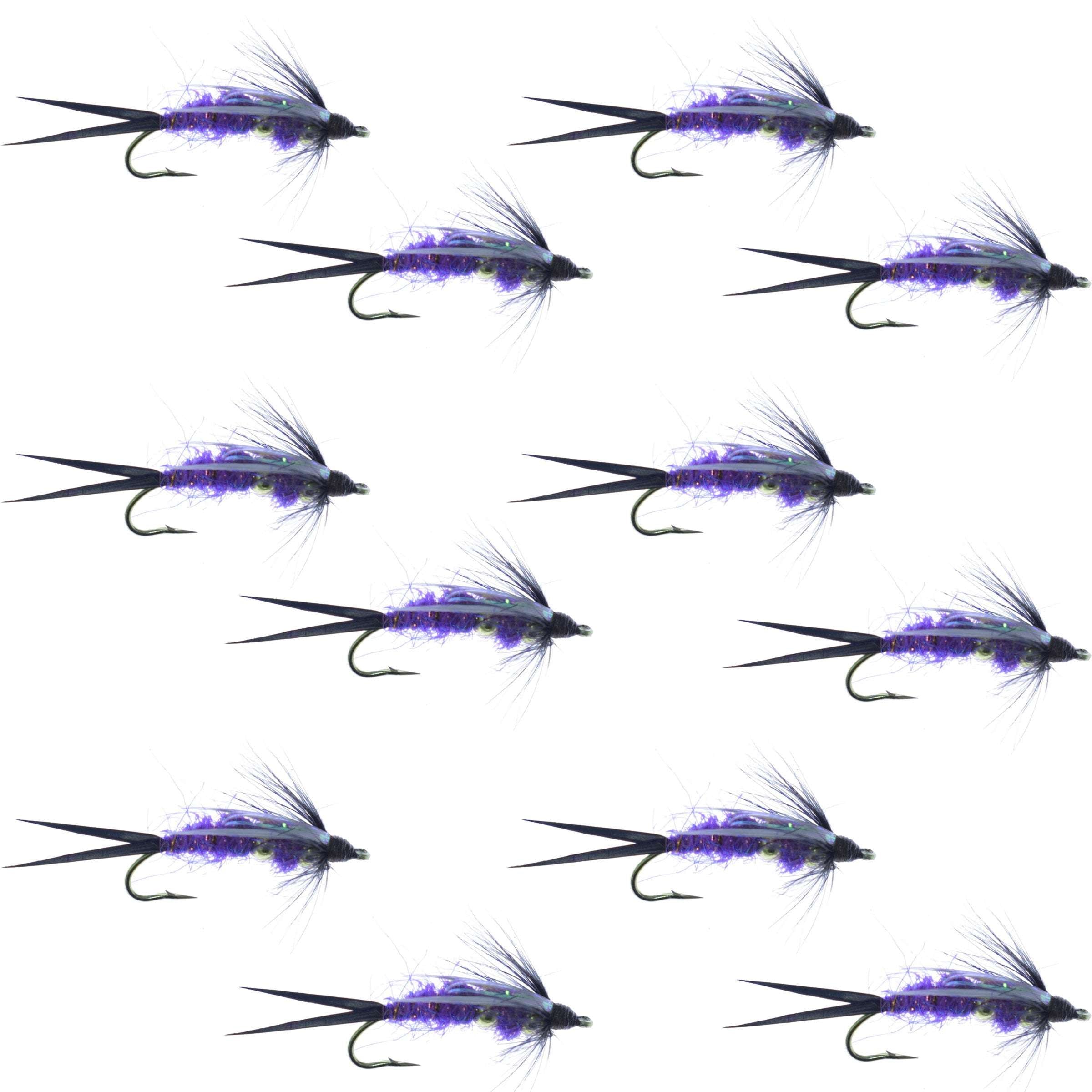 Double Bead Purple Psycho Prince Nymph Fly Fishing Flies - 1 Dozen Fli ...