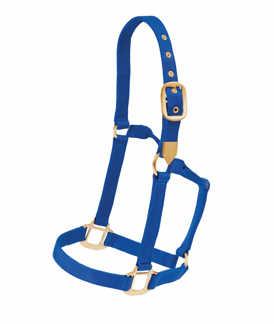 High Country Halter (Assorted Sizes & Colors) – Man Cave And Apparel