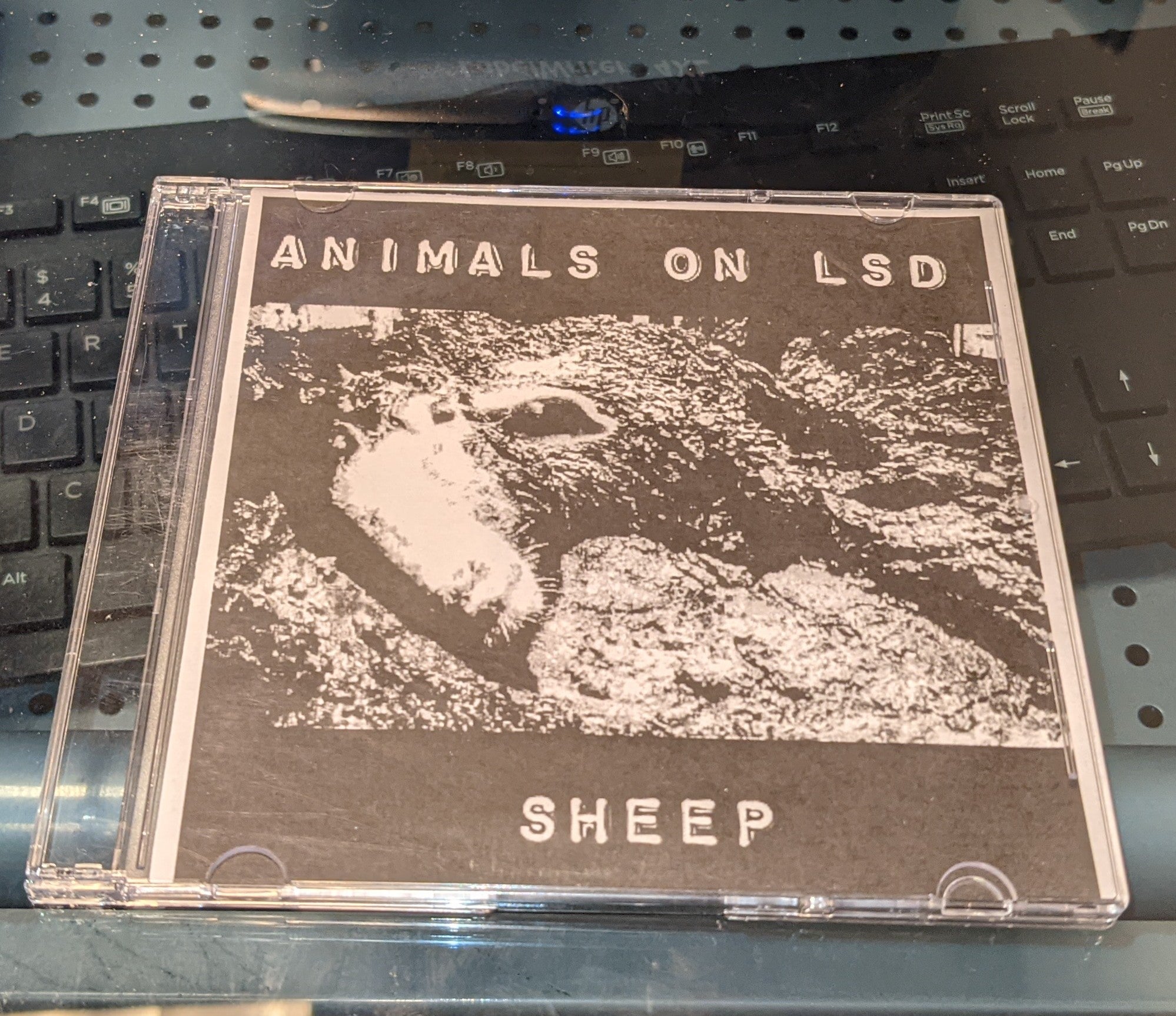 Animals On LSD - Sheep CD – Man Cave And Apparel