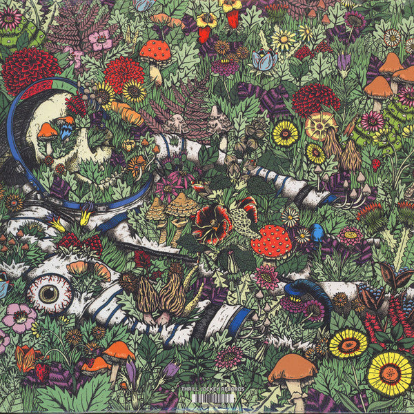 Oozing Wound – Whatever Forever 2xLP Vinyl LP Record W/ Etched D Side ...