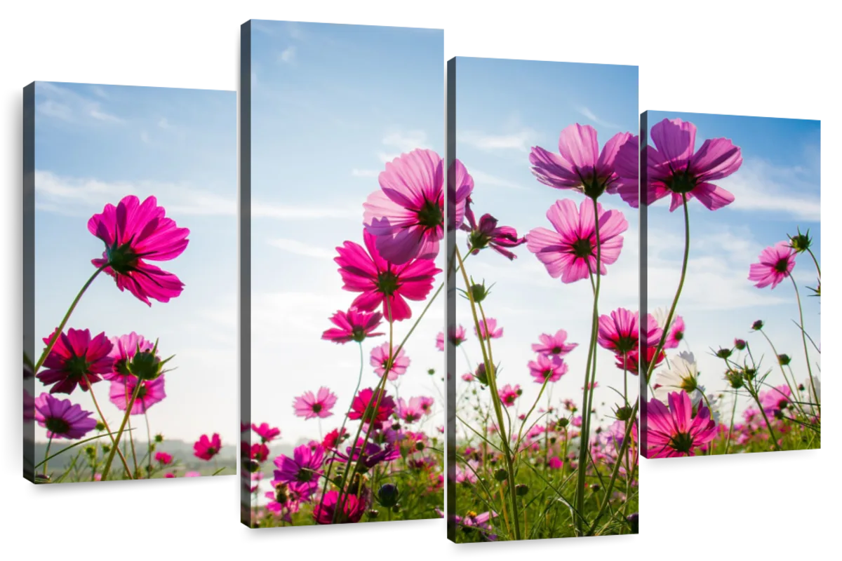 Wild Cosmos Flowers Wall Art – Man Cave And Apparel