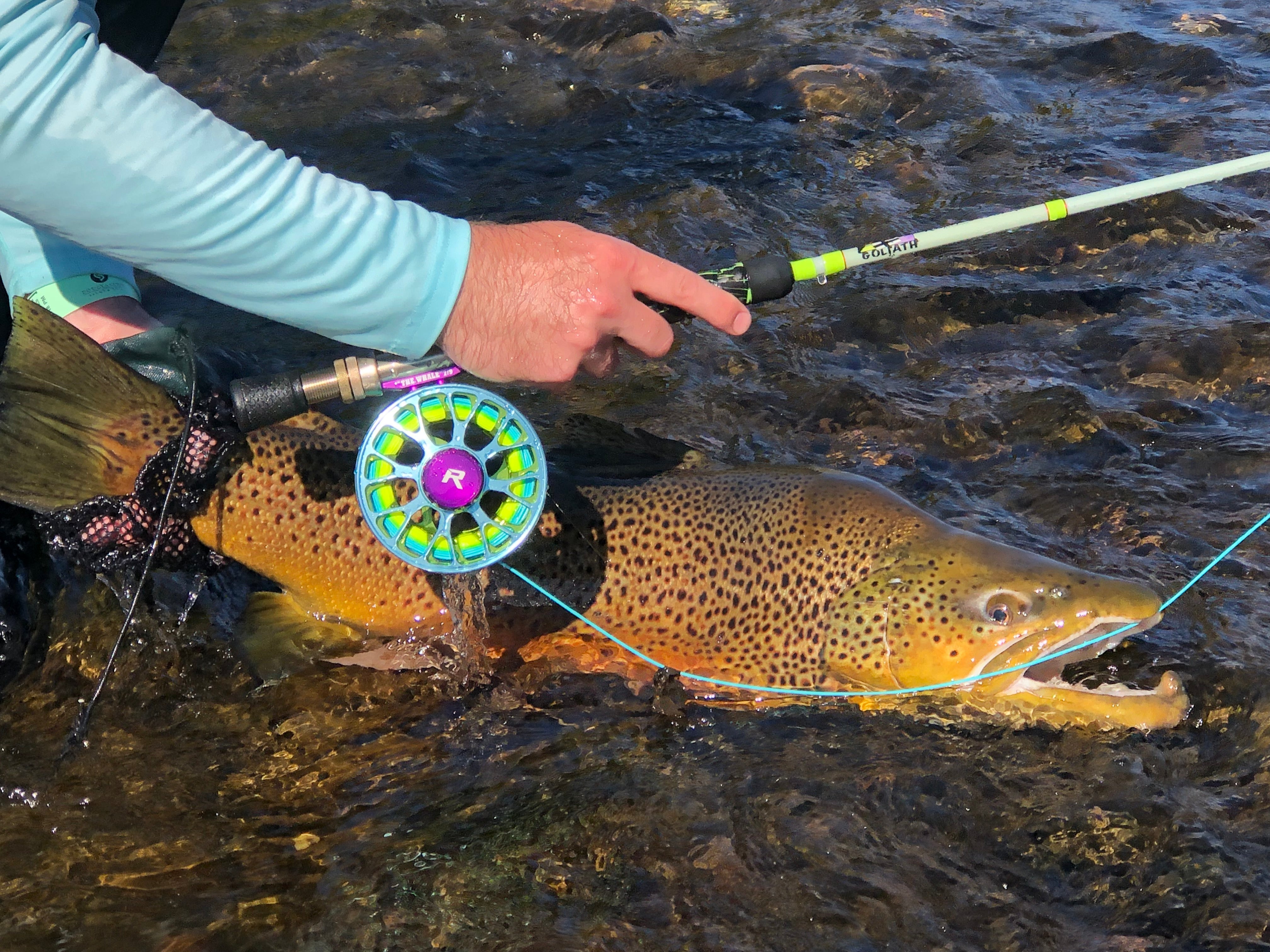 Goliath rod and reel combo – Man Cave And Apparel