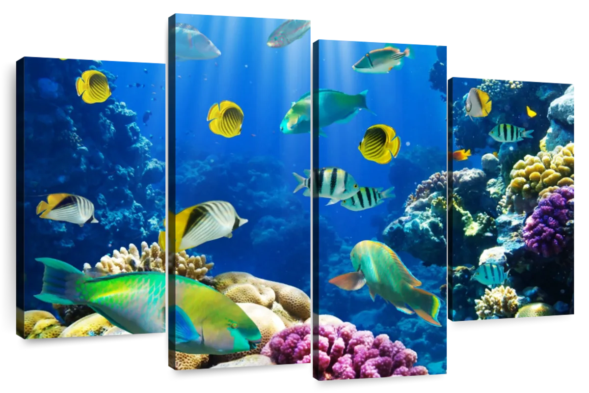 Underwater Sea Creatures Wall Art – Man Cave And Apparel