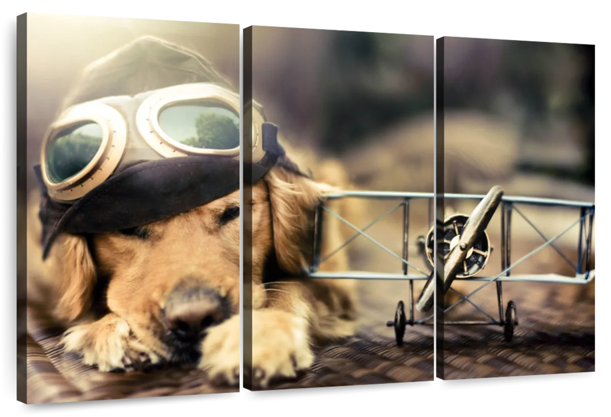 Dog Pilot Wall Art – Man Cave And Apparel