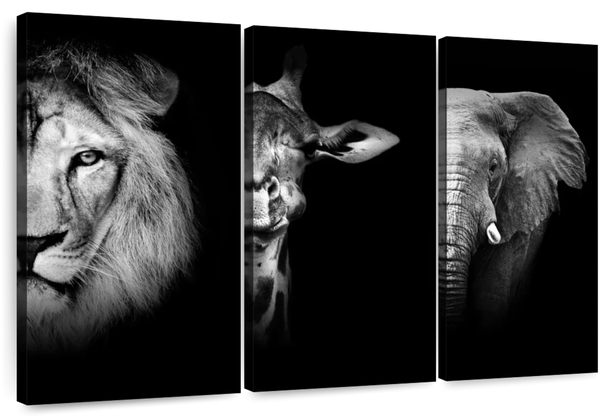 Safari Animal Portraits Wall Art – Man Cave And Apparel