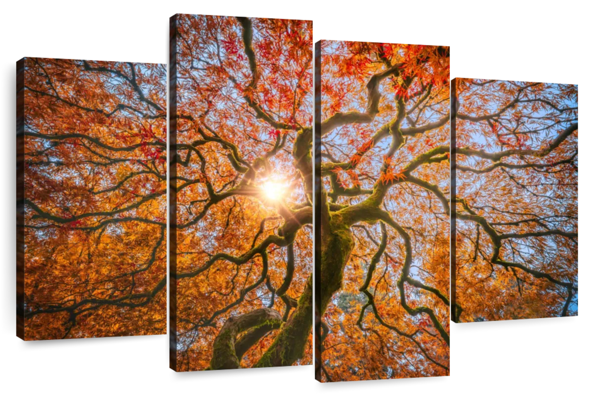 Japanese Maple Tree Wall Art – Man Cave And Apparel
